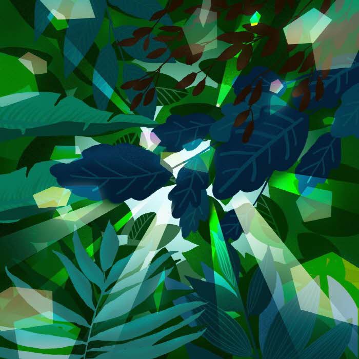 SOUND ALBUM_NEW 주목할 새음반, 앨범 - 코토바(cotoba) EP [언어의 형태(form of tongue ...